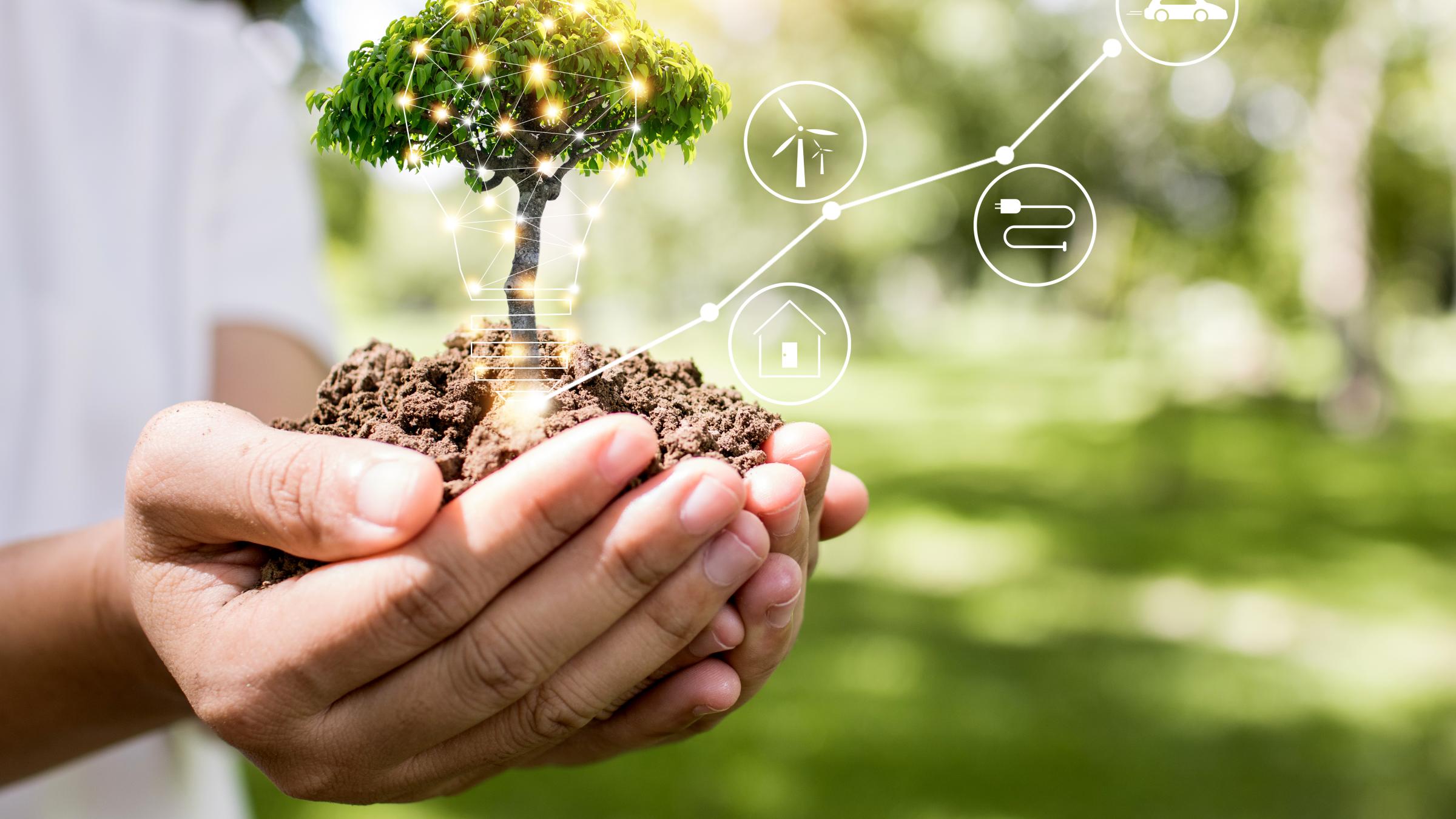Supporting The Sustainability Of Agricultural Innovation Systems FFTC supporting-the-sustainability-of-agricultural-innovation-systems-fftc