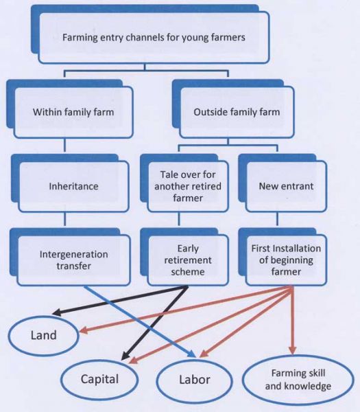 Recruiting Young Farmers to Join Small-Scale Farming: A Structural ...