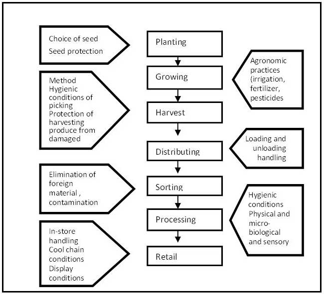 Malaysian Agricultural Qualty Standards | FFTC Agricultural Policy ...